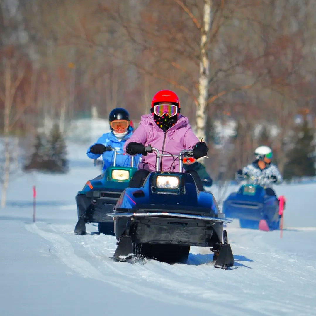 Snowmobile tour with local guides / Furano — Hokkaido Xpert Travel