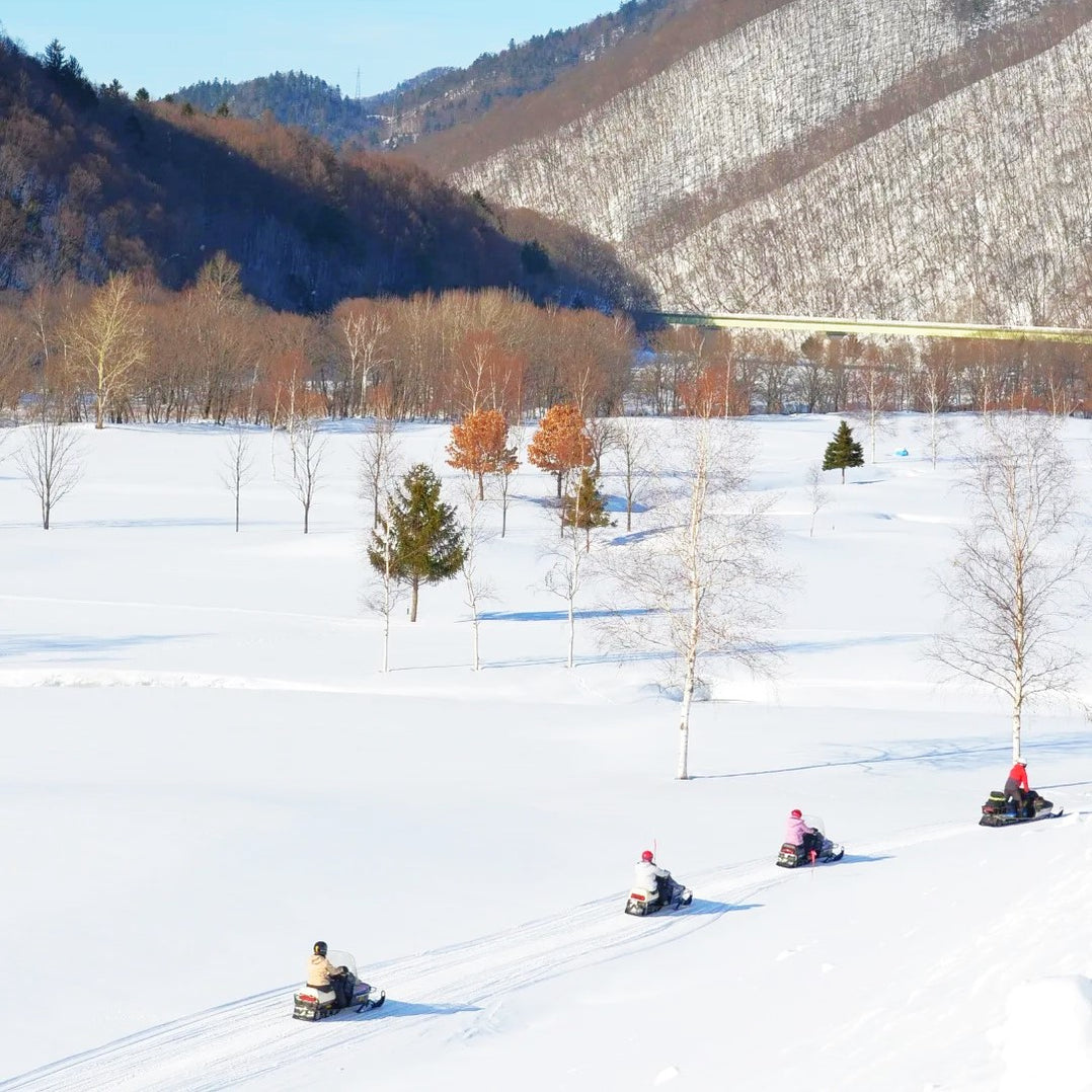 Snowmobile tour with local guides / Furano — Hokkaido Xpert Travel